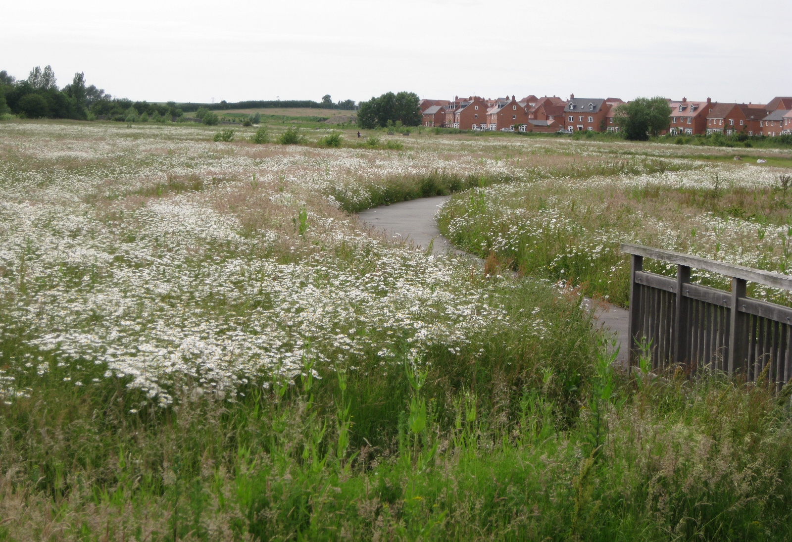 Allen Pyke Associates - Management Plans - Allen Pyke Associates