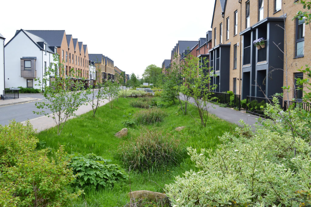 Allen Pyke Associates - St Andrews Park wins SuDS Award - Allen Pyke ...